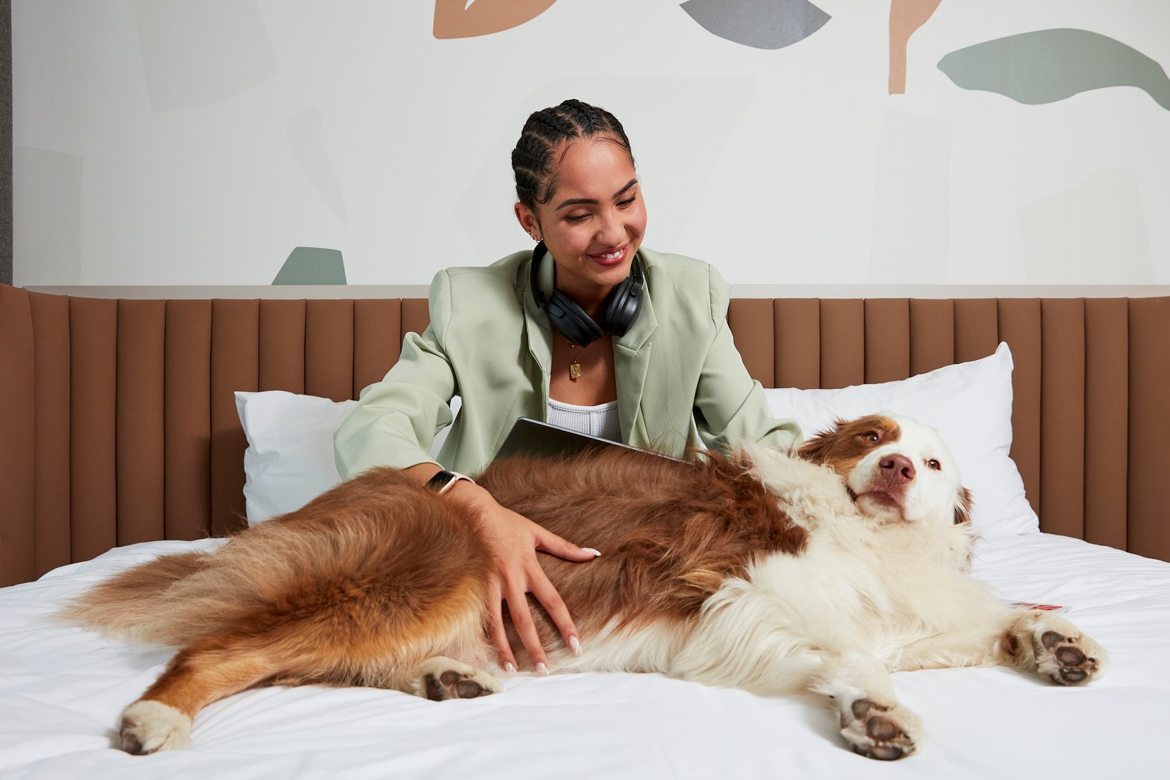 Les meilleures adresses pour voyager avec son animal de compagnie ...